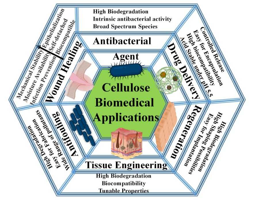 Cellulose Nanomaterials - CD Bioparticles